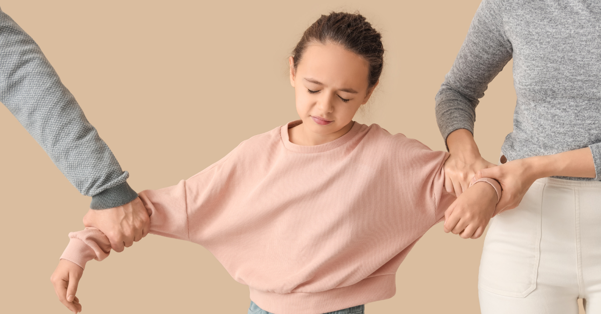 High Conflict, Parental Alienation, and Custody Evaluations - Karen Ann ...